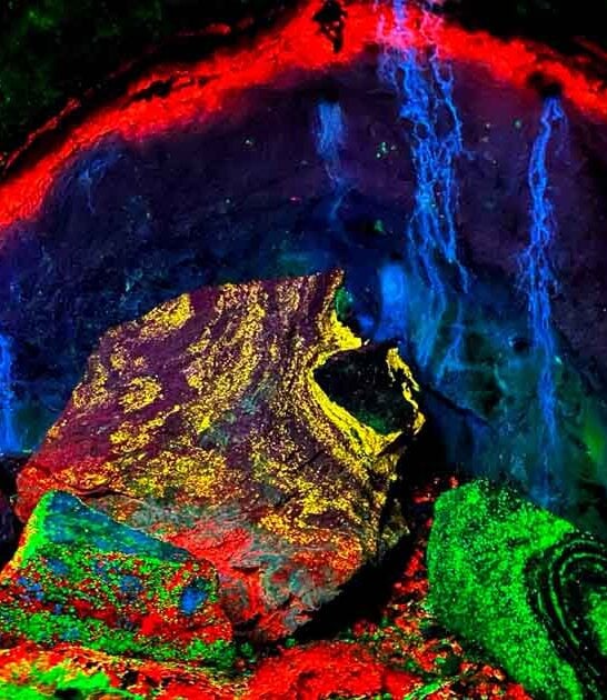 new jersey fun activities ftr