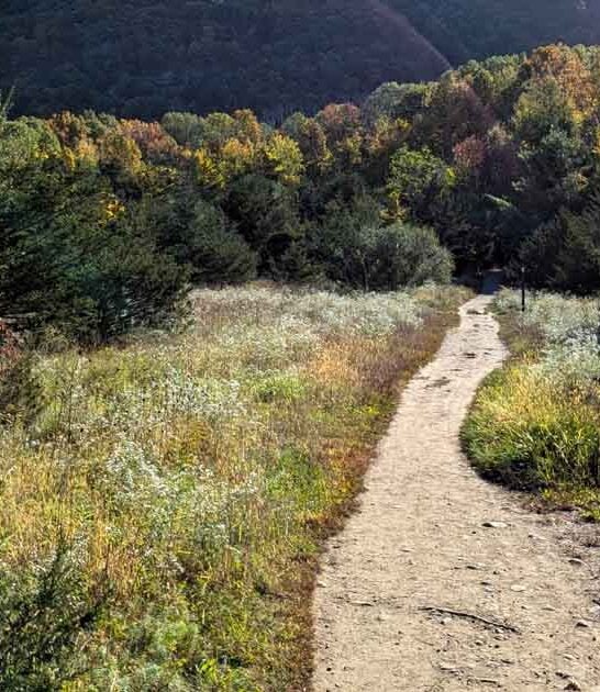 new jersey gorgeous hikes ftr