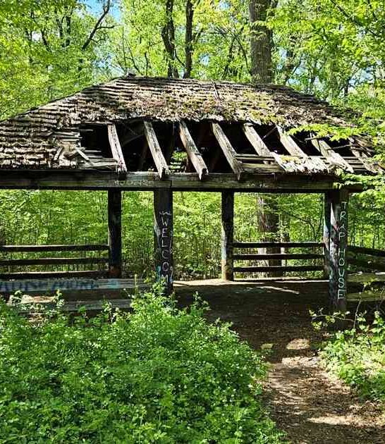 new jersey horseback forest ftr