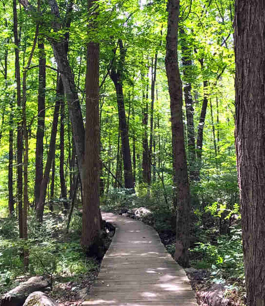 new jersey mountain preserve ftr