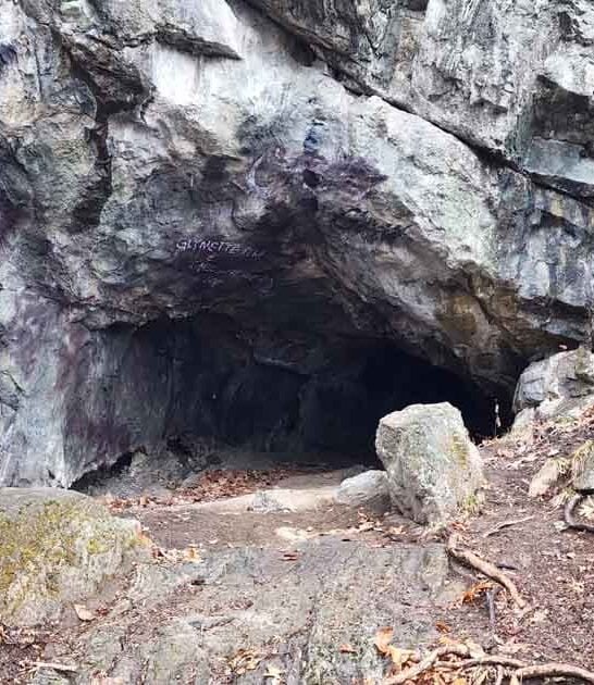 new jersey natural landscapes ftr