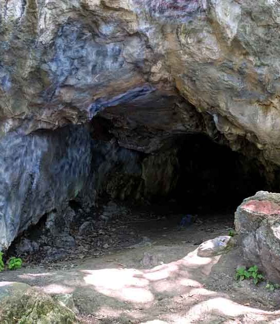 new jersey natural wonders ftr