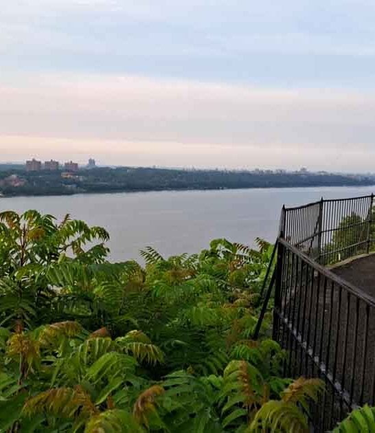 new jersey overlook speechless ftr