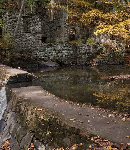 new jersey park fairytale ftr