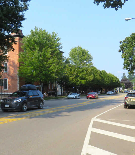 new york adventure town ftr