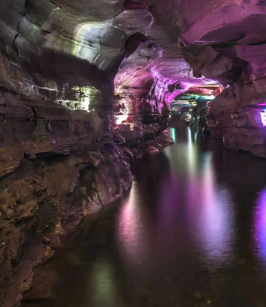 new york beautiful wonders ftr