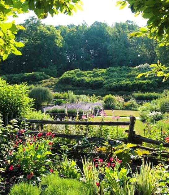 new york breathtaking garden ftr