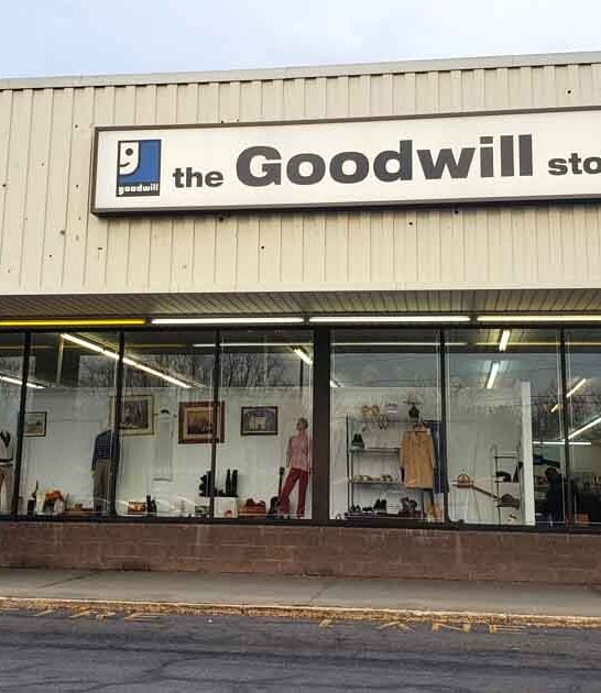 new york carts thrift ftr