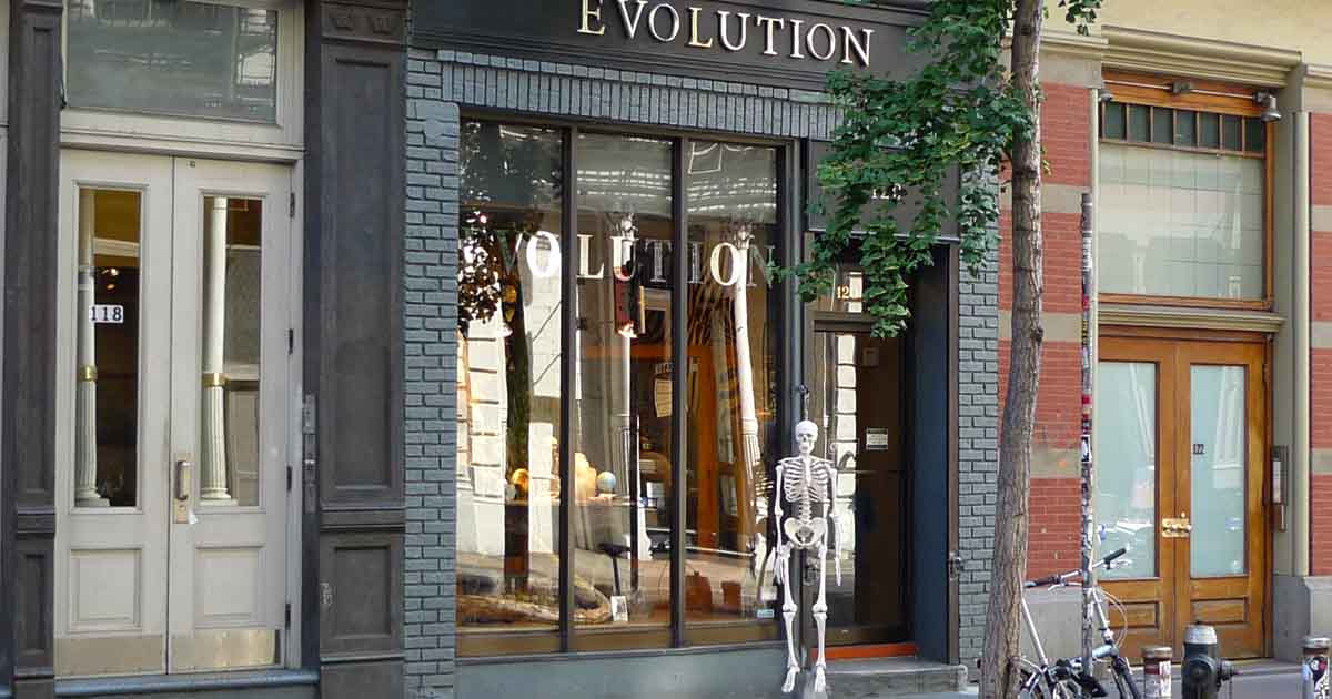 The Quirky Curiosity Shop In New York That's Filled With Oddities You ...