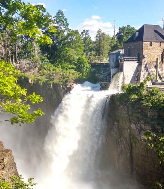 new york discover activities ftr