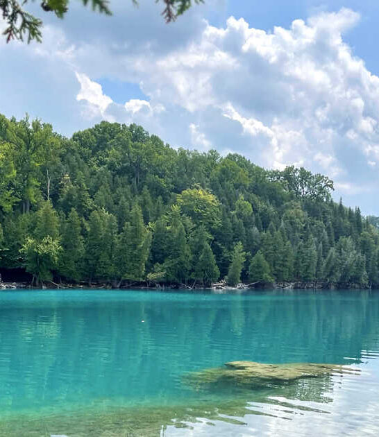 new york dreamy wonders ftr