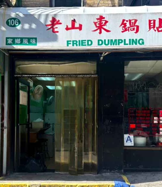 new york dumpling restaurant ftr