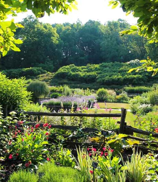 new york enchanting garden ftr