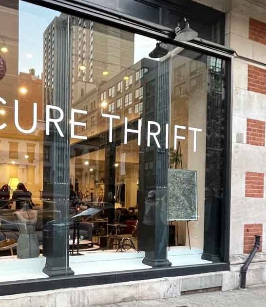 new york incredible thrift ftr