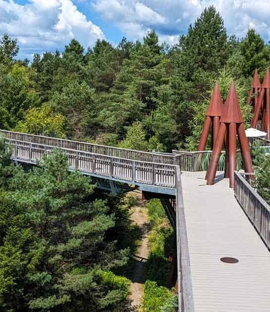 new york local activities ftr