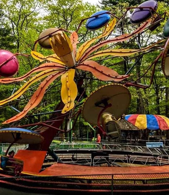 new york magical park ftr