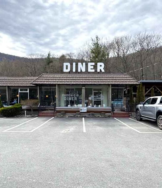 new york nostalgic diner ftr