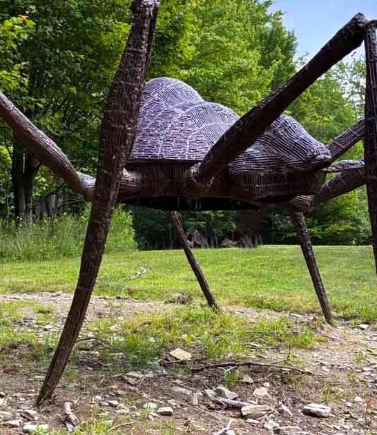 new york park sculpture ftr