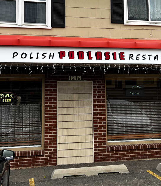 new york polish cuisine ftr