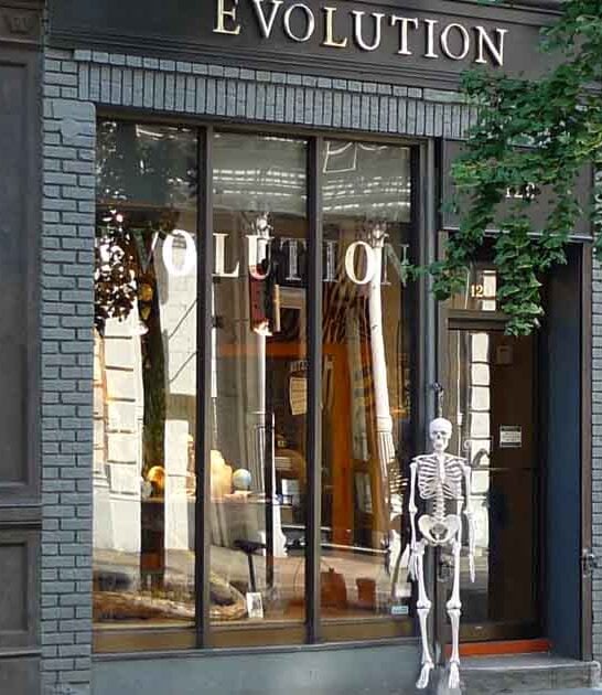 new york quirky shop ftr