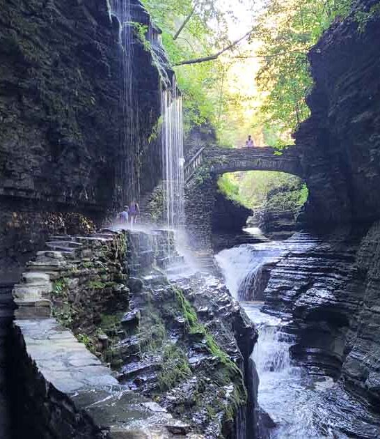 new york road trips ftr