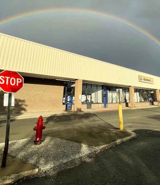 new york shopping thrift ftr