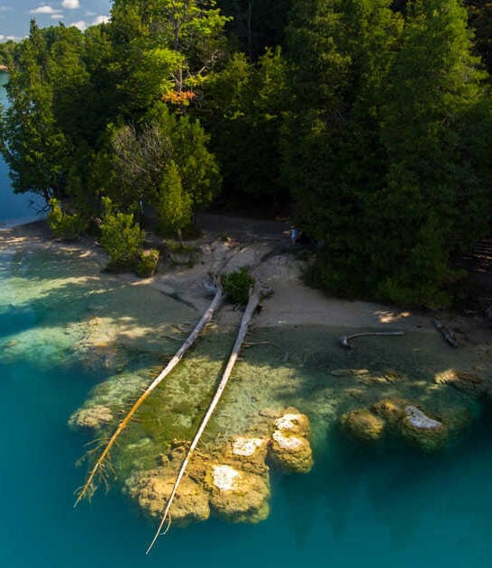 new york stunning wonders ftr