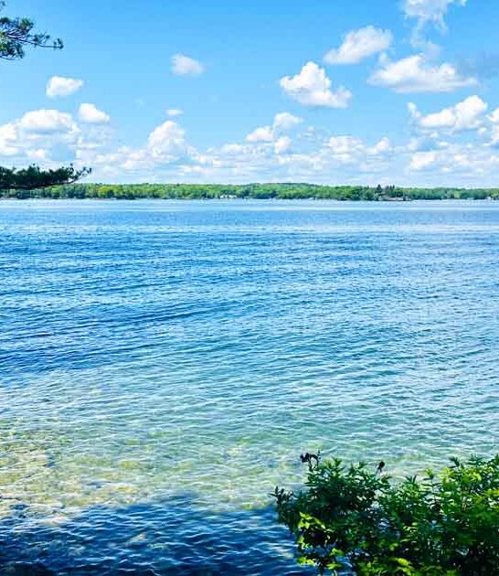 new york undiscovered island ftr