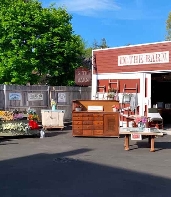 new york unique store ftr