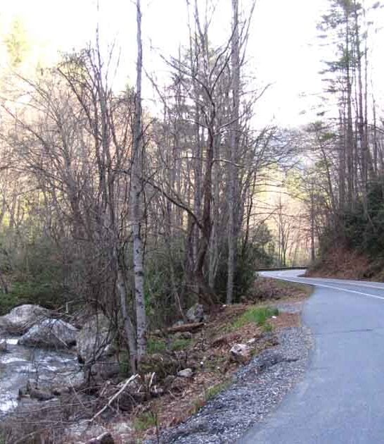 north carolina amazing byway ftr