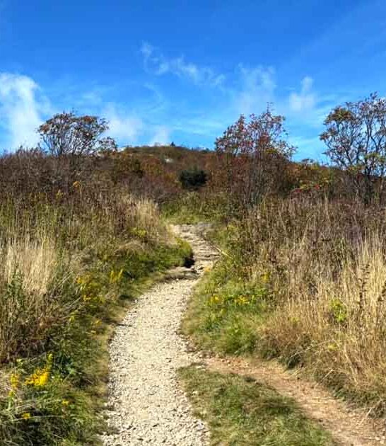 north carolina easy trails ftr