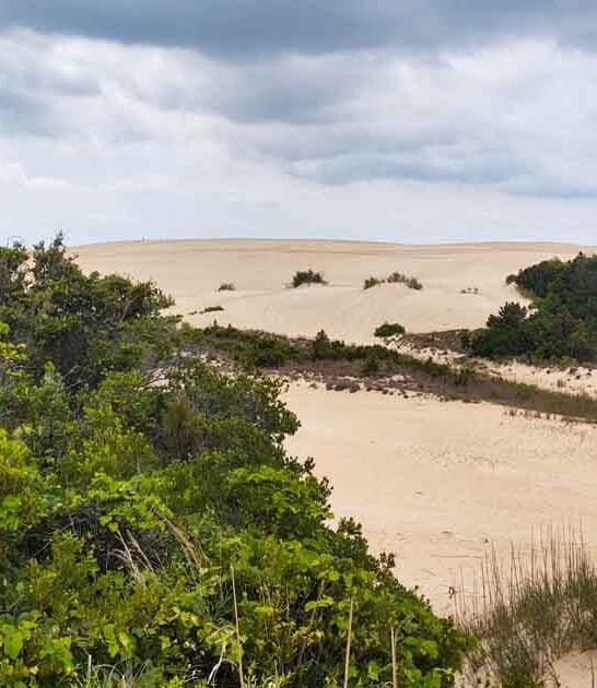 north carolina fairytale park ftr