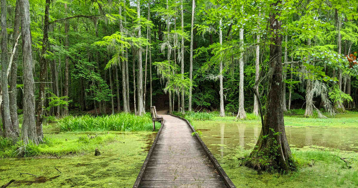 This Under-The-Radar North Carolina State Park Feels Like A Secret Getaway