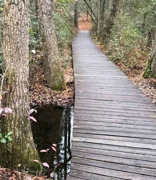 north carolina gorgeous hikes ftr
