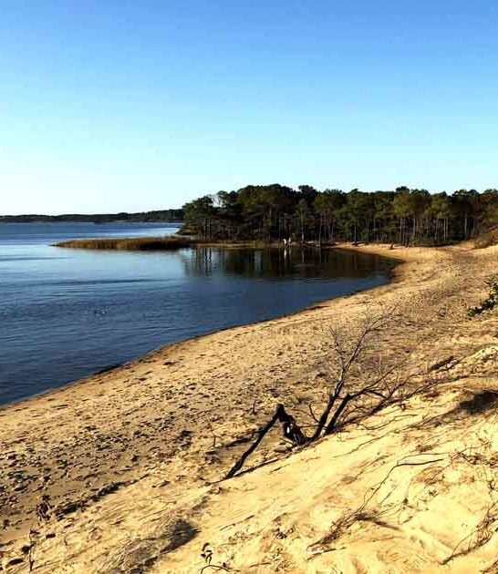 north carolina mesmerizing park ftr