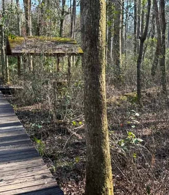 north carolina short hikes ftr