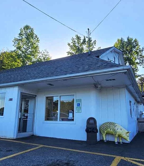 north carolina smoky bbq ftr