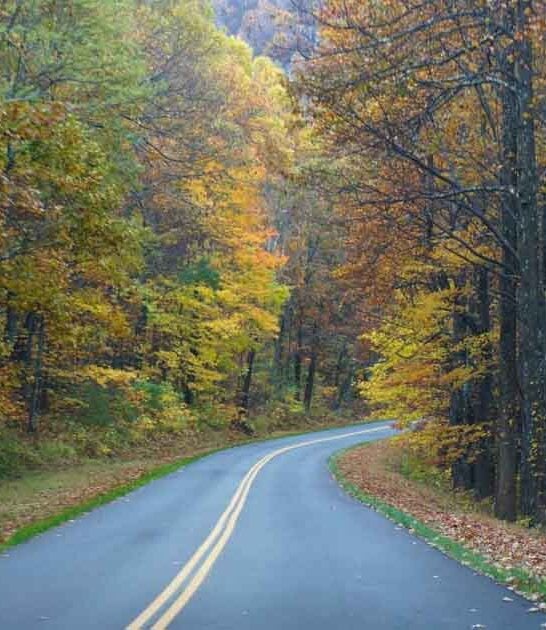 north carolina trips bank ftr