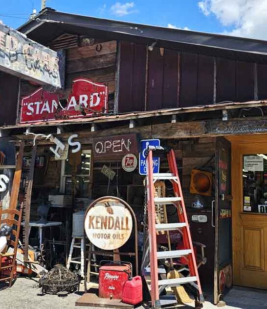 north carolina wonderland store ftr