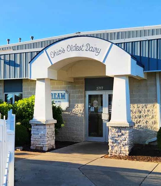 ohio big cones parlor ftr