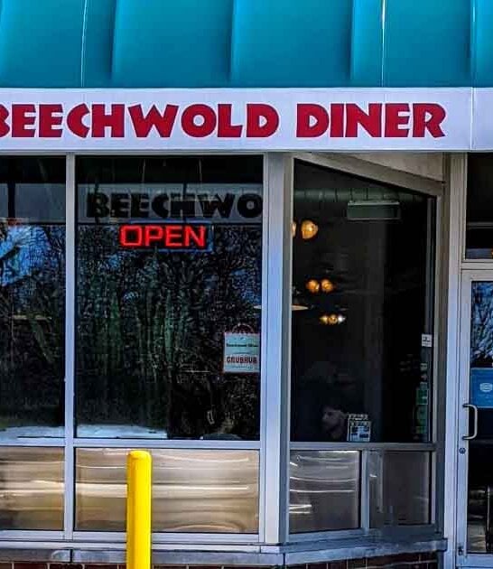 ohio delicious burger diner ftr