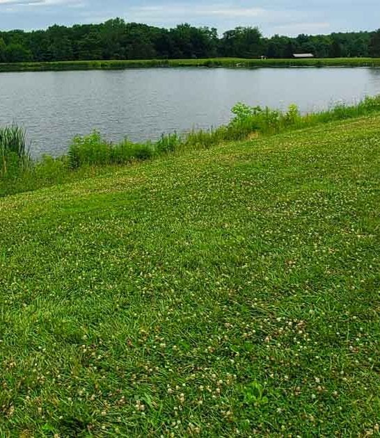 ohio discover incredible wonder ftr