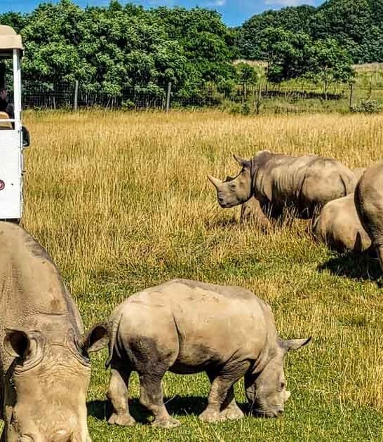 ohio incredible things do ftr