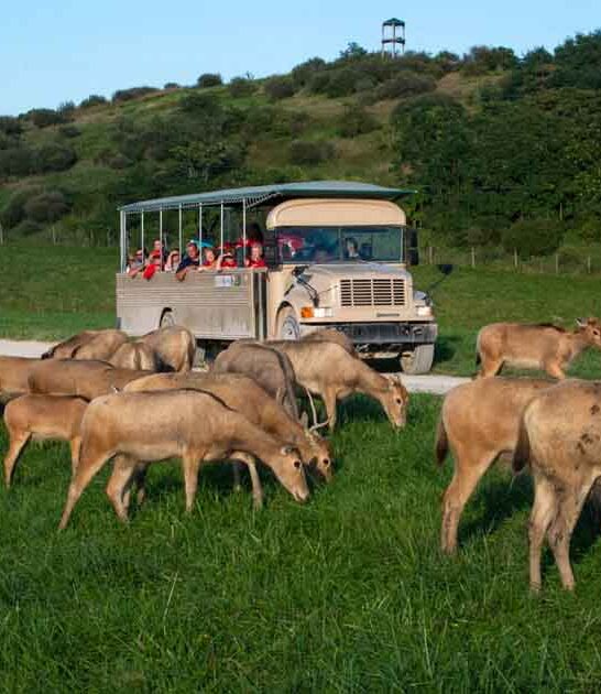 ohio unexpected things do ftr