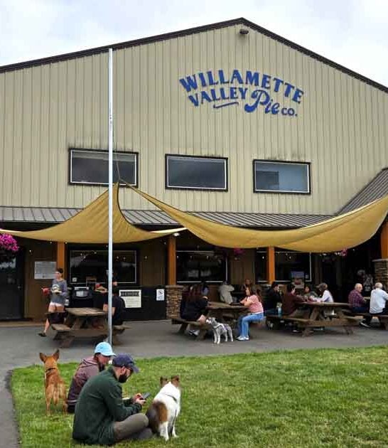 oregon marionberry pie shop ftr