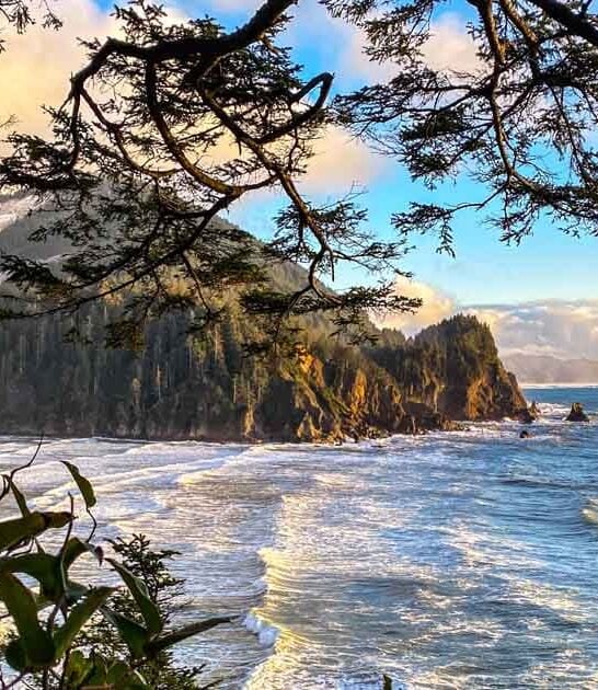 oregon mesmerizing state park ftr