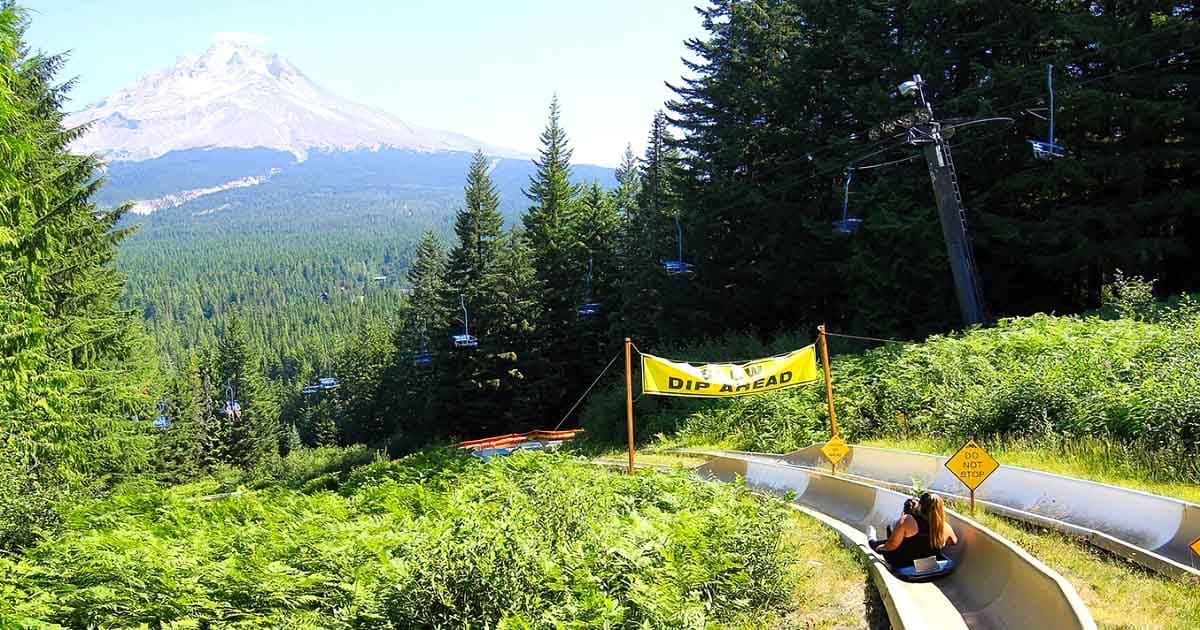 Take A Ride Down Oregon's Most Exhilarating Alpine Slide And You'll ...