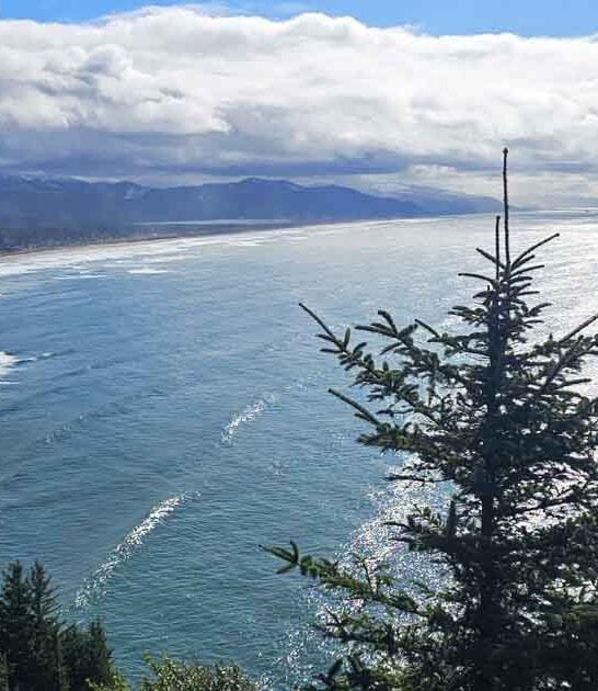 oregon rare rainforest park ftr