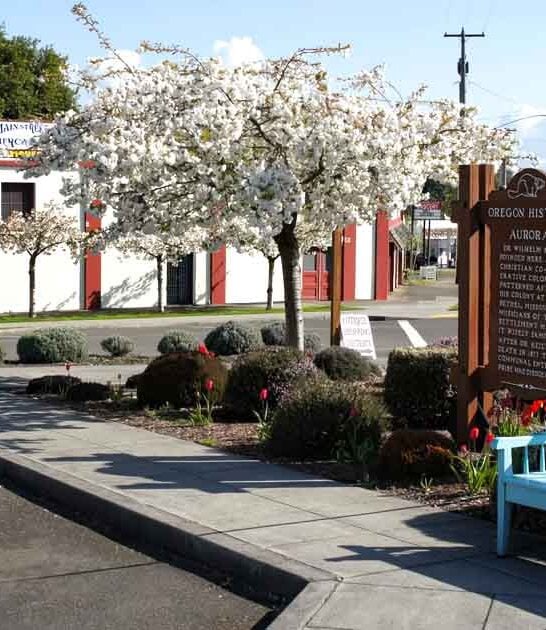 oregon town antique lover ftr