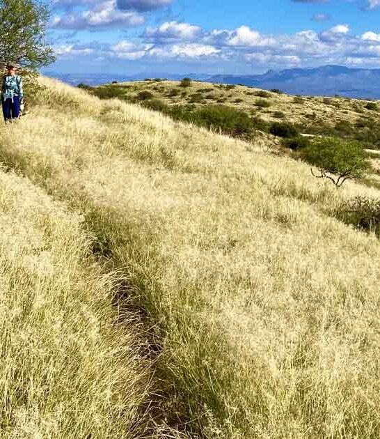overlooked arizona state park ftr